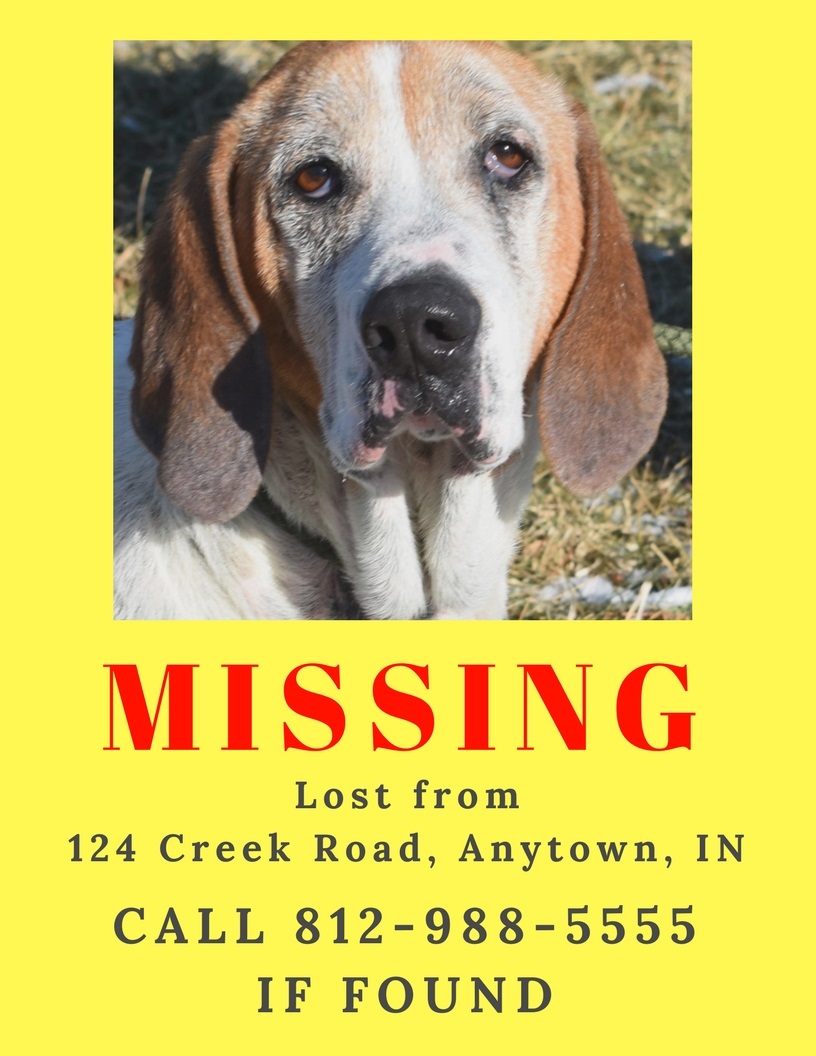 Brown County Humane Society What To Do If Your Dog Is Lost