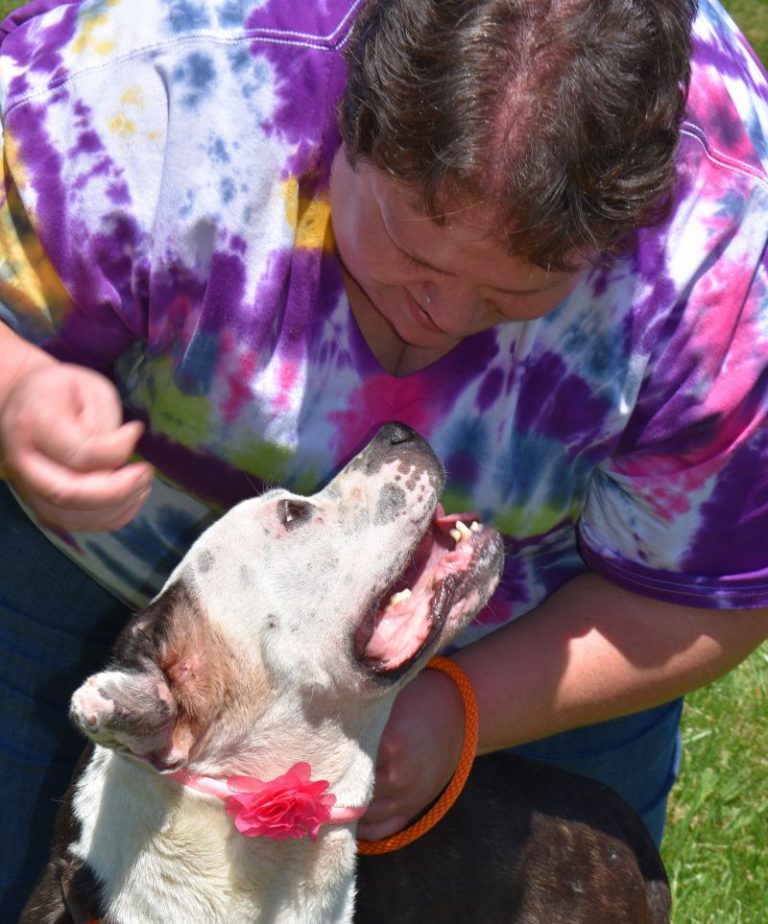 Brown County Humane Society | Dog of the Week - Mary Beth