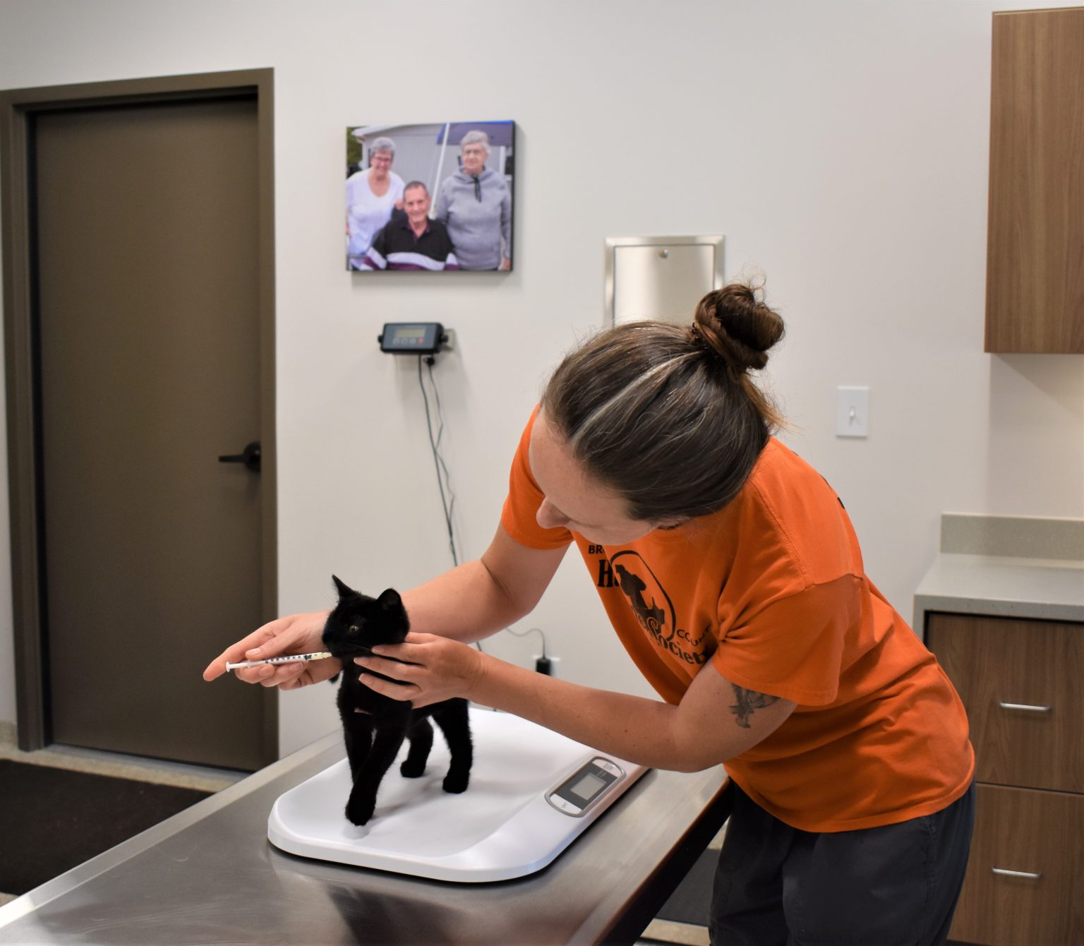 Brown County Humane Society | Employment
